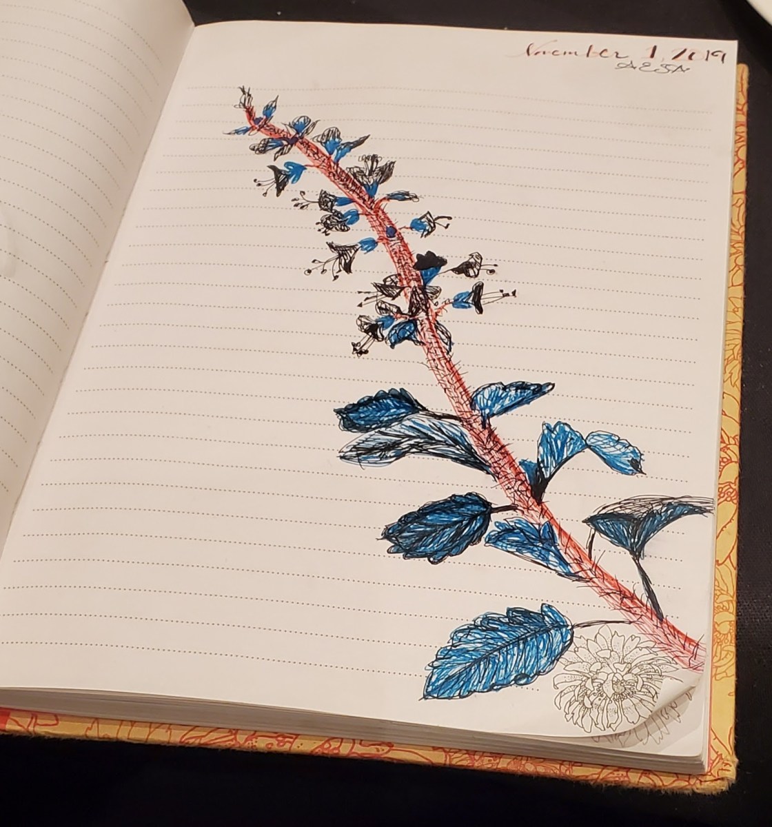 Publications and Presentations – Nora A. Devlin