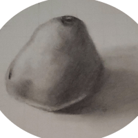 Blog – Nora A. Devlin